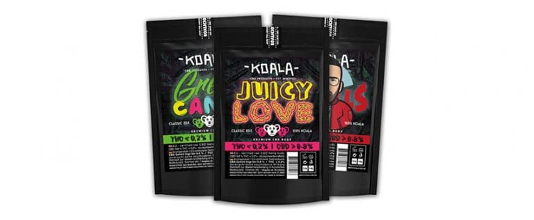 Koala CBD Lohnenswert? Tests, Erfahrungsberichte & Rabatte